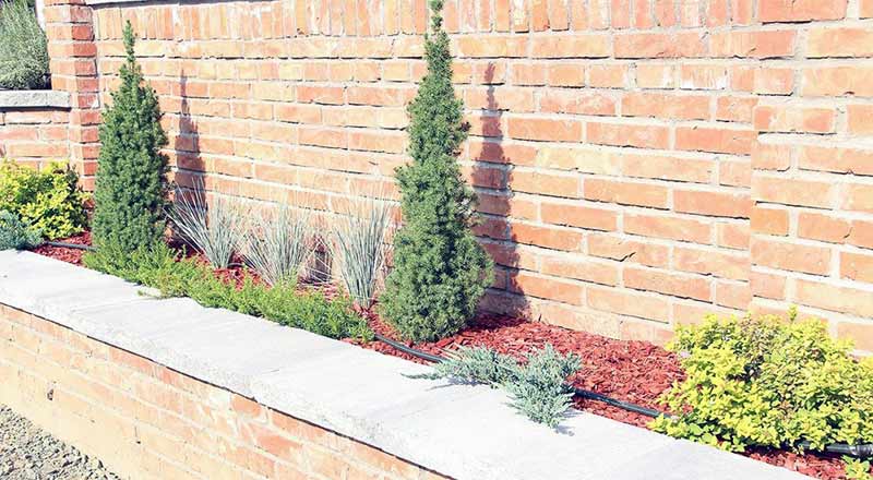 Malč sve što ste hteli da znate